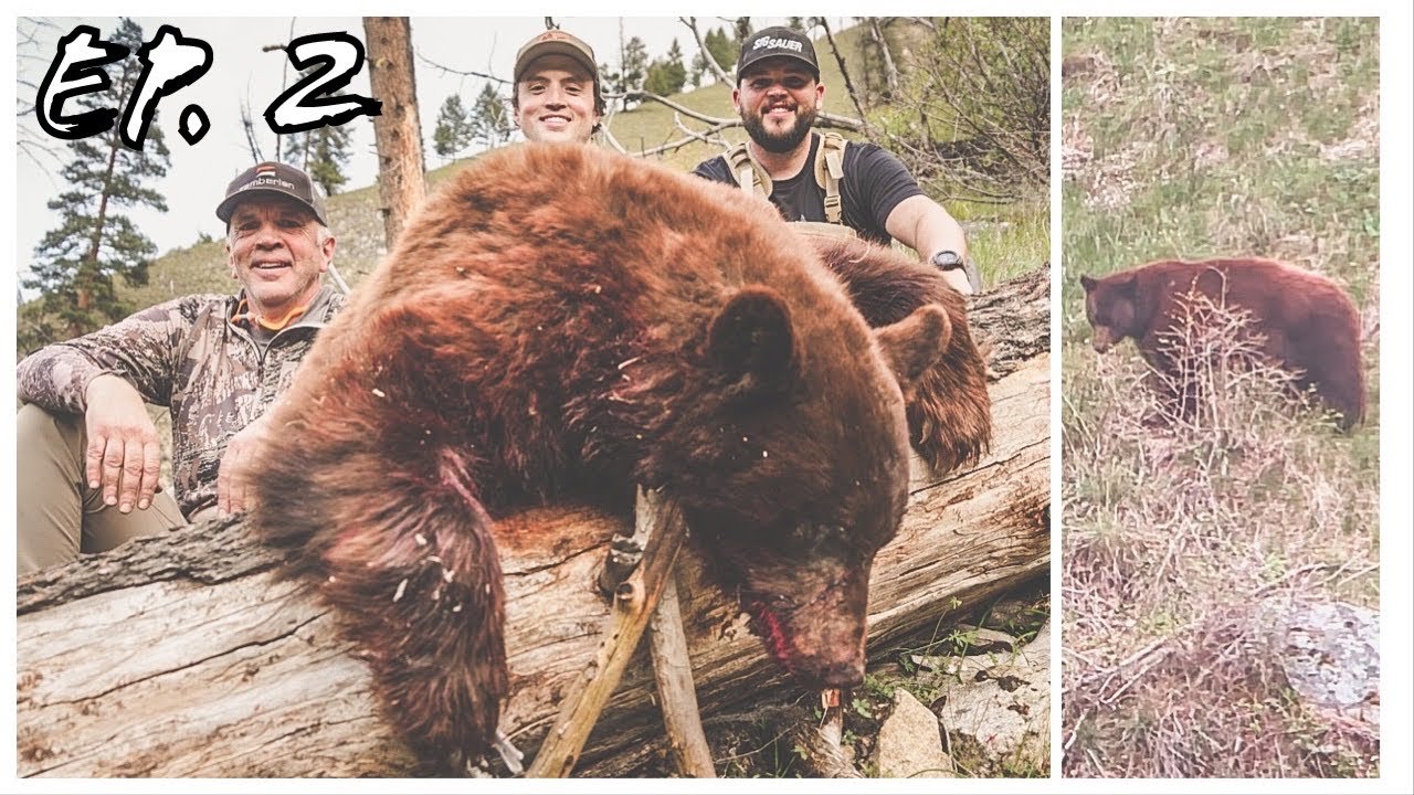 GIANT SPOT AND STALK BEAR HUNT - EP. 2 - Icon Tour “Spring Bear”