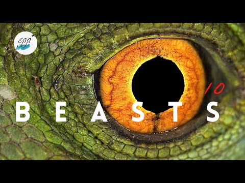 Top 10 Monsters of Ancient Greek Mythology | Legenardy Creatures #GreekMyths