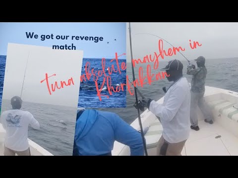 Tuna Fishing in Khorfakkan Is Unbelievable!
