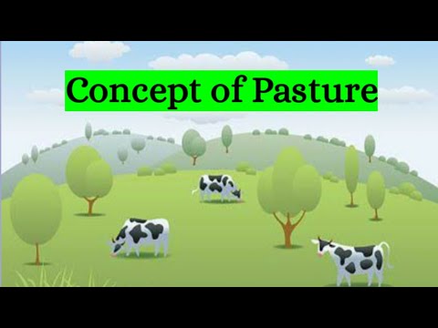 Concept of Pasture | Definition of Pasture? Advantage and disadvantage of Pasture