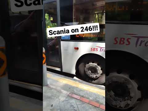 Scania at 246 from SBST #shorts