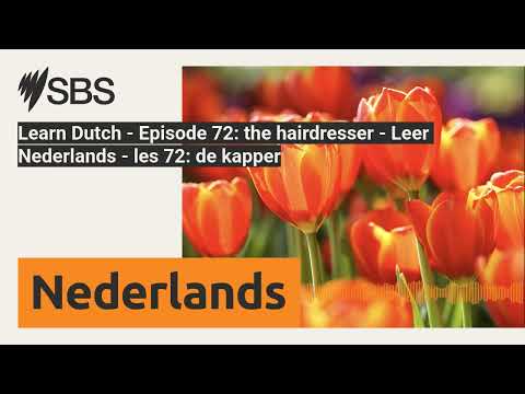 Learn Dutch - Episode 72: the hairdresser - Leer Nederlands - les 72: de kapper | SBS Dutch -...