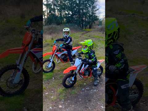 KTM 65 Vs KTM 50
