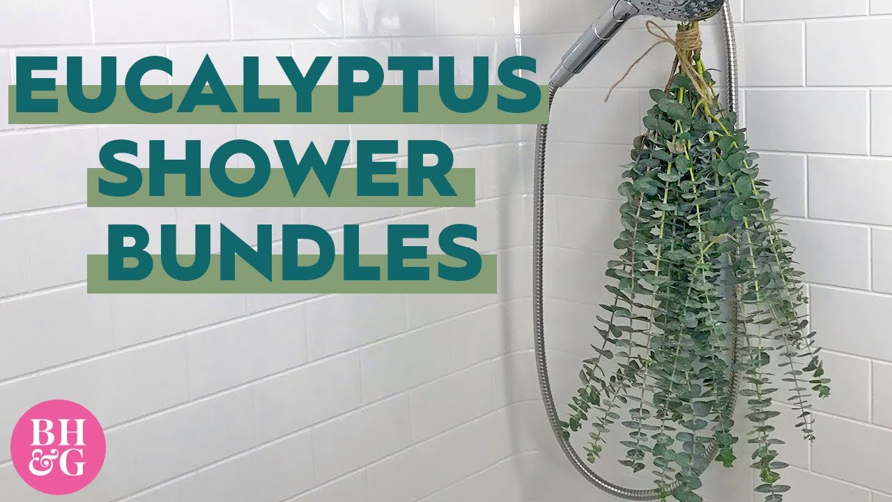 Eucalyptus Shower Bundles are an Easy Way to Upgrade Your Everyday Routine | Better Homes & Gardens