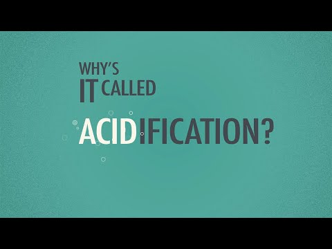 What is Ocean Acidification?