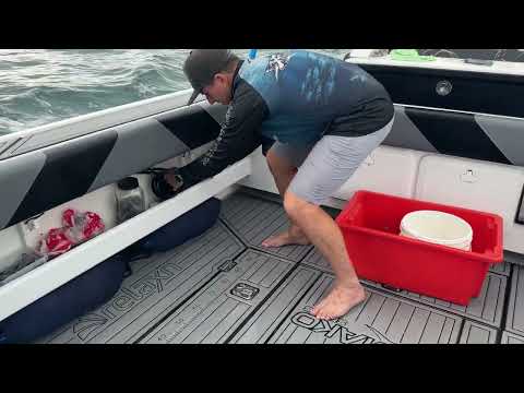 Shurflo Deck Wash Pump and Hose Setup + Relaxn Push Tap & Timer - Product Insight