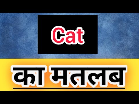 Cat meaning in hindi || Cat ka matlab kya hota hai || word meaning english to hindi