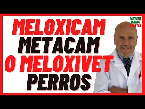 Anti-inflammatory Meloxicam (Meloxivet Metacam)🔴 Dosage, Side Effects, What it is used for in Dogs