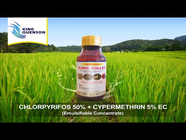 Agricultural Insecticide - Chlorpyriphos 50% EC Insecticide Trader ...
