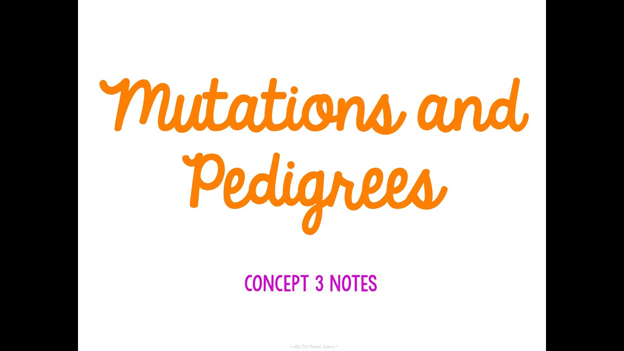 Unit 5 Heredity Concept 3 Notes *UPDATED*