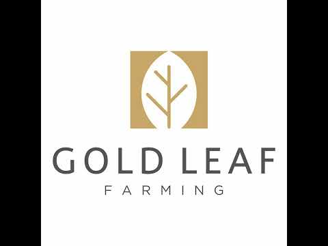 FoA 389: Modern Tree Crop Farming With Sawyer Clark of Gold Leaf Farming