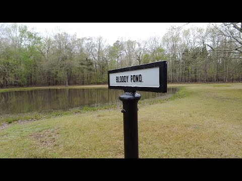 Shiloh National Military Park - Tour Stop 19 - Bloody Pond