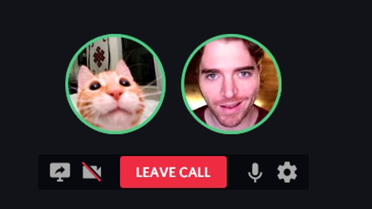 Shane Dawson Discord Meme