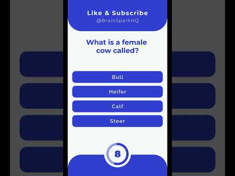 🐄 What is a female cow called?