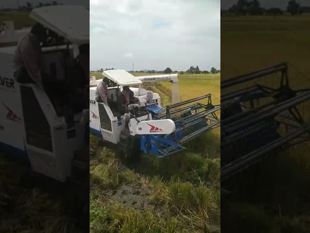 Post Harvesting Machine - 500 RPM HarvestingThresher Trader ...