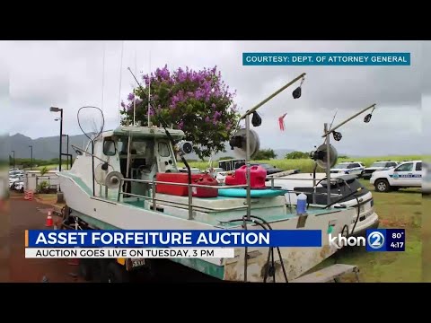 Need a car for a low price? Find one in Hawaii AG’s online auction