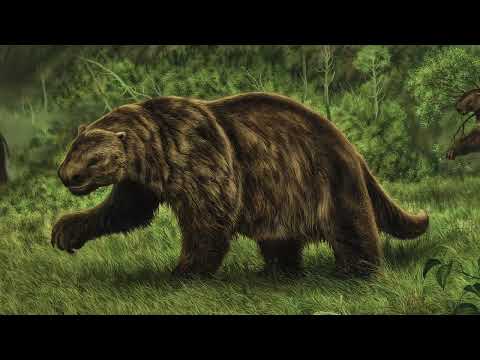 The Indigenous People of America - Documentary