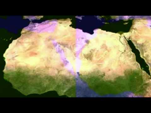 The Sahara: Climate and Organisms