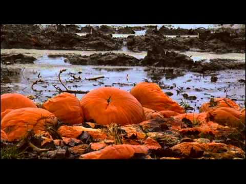 The Pig Farm Documentary : : . . -- Serial Killer Robert William ...
