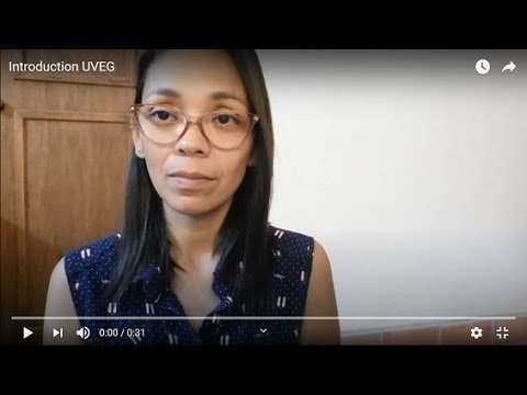Introduction UVEG