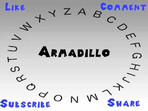 How to Say or Pronounce Armadillo