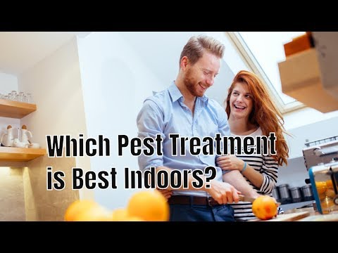 Which Pest Control Treatment is Best for My Home Interior?