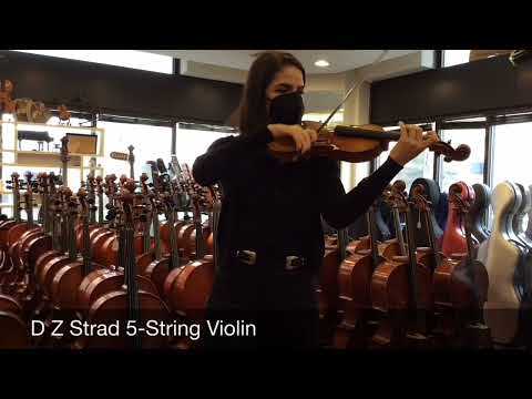Dz Strad D Z Strad Violin- 5 String Violin Outfit | Reverb