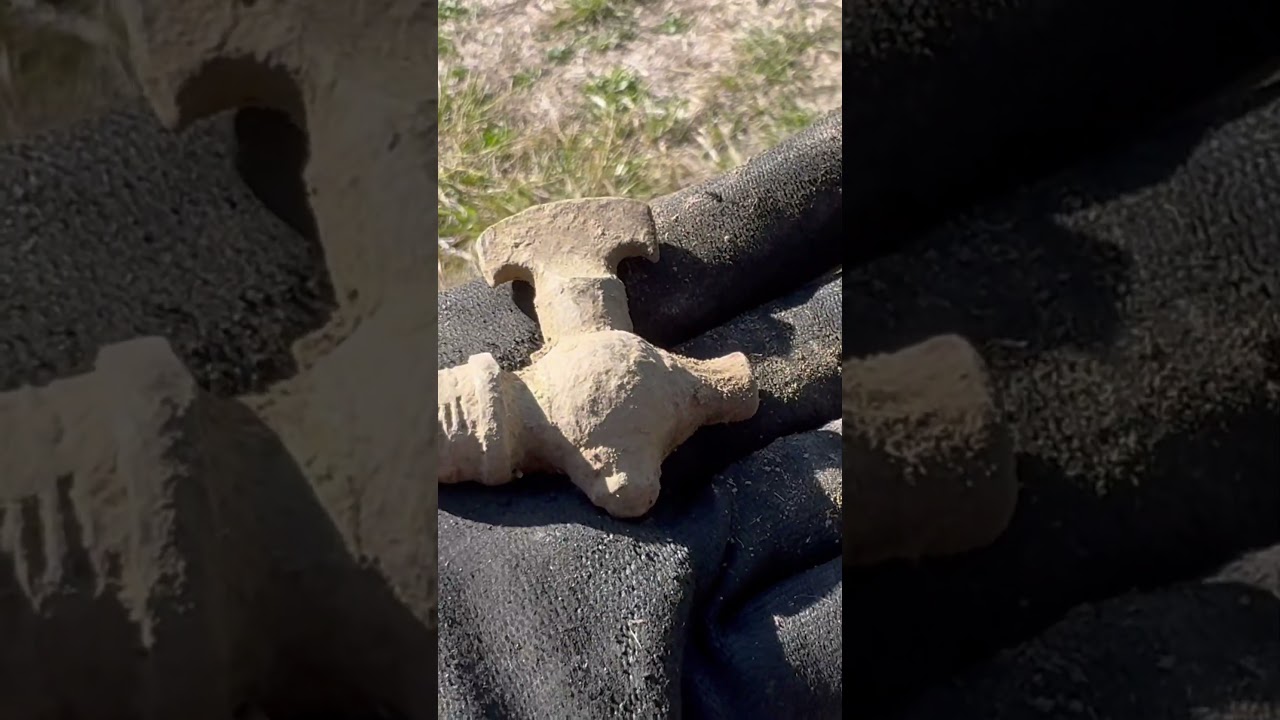 Something cool finally #environmentalcleanup #metaldetecing