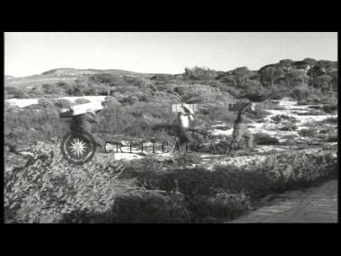 US Army Chaplain Corps soldiers unload ammunition boxes brought in by an army hel...HD Stock Footage