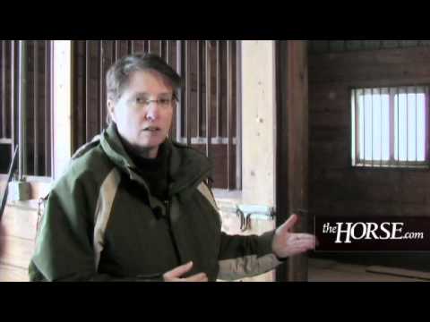 Stall Cleaning / Disinfection Series Part 1: Cleaning
