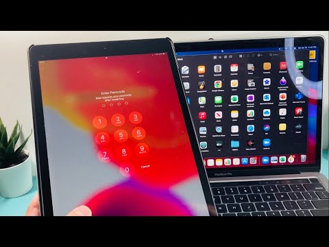 Forgot Your iPad Passcode? Here’s How to Get Fix It! (2022)