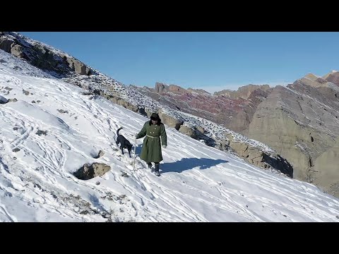 Personal Tales of Aiding Xinjiang: The story of herder Tusufbek Sinbay