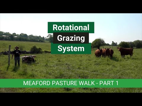 Rotational Grazing System - Meaford Part 1
