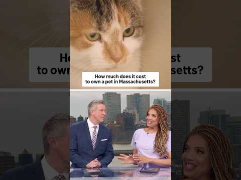 How much does it cost to own a pet in Massachusetts?