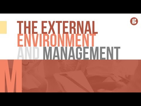 The External Environment and Management