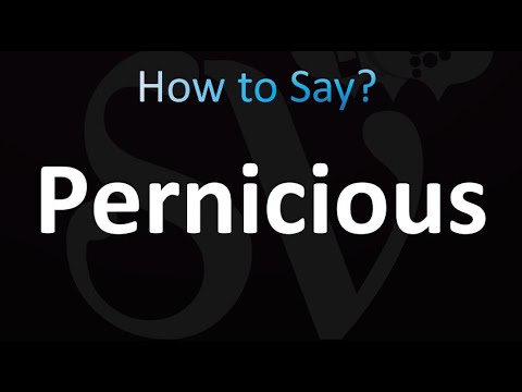 How to Pronounce Pernicious (Correctly!)