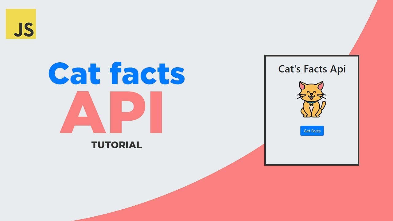 JavaScript API Tutorial : Cat facts app with fetch API 🐱 (2020)