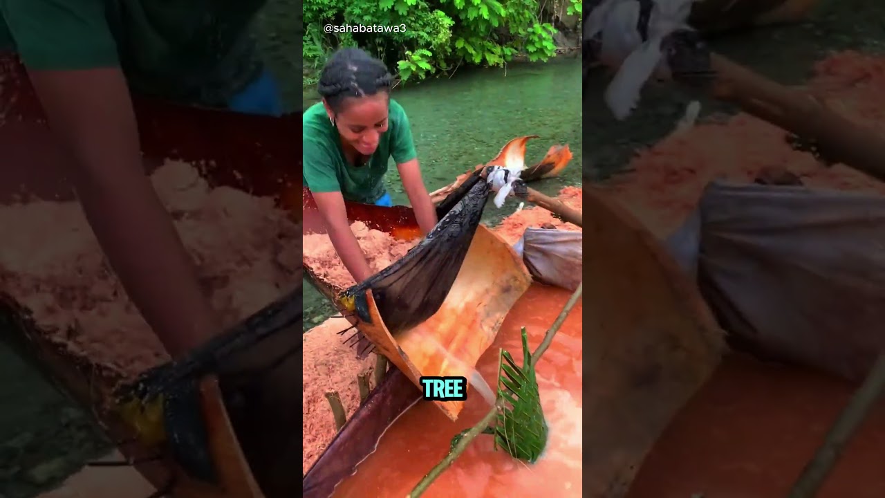 What Makes the Sago Palm SO Special Compared to Other Tropical Plants?