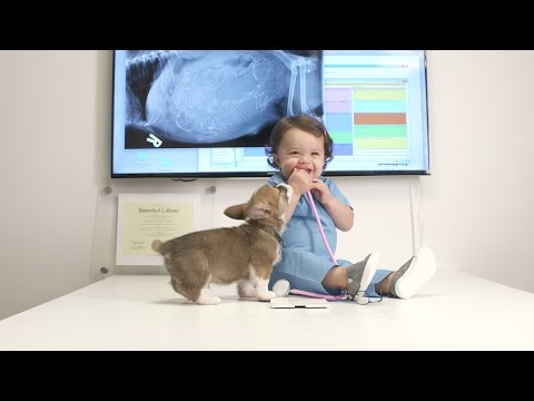 ZipRecruiter Presents: Jobs for Babies