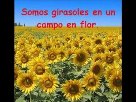 El video de Isabel | Dale una oportunidad a la paz