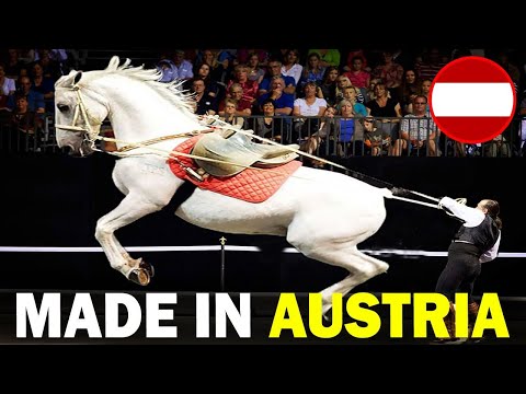 6 RARE Austrian Origin Horse Breeds You Don't Know About!!