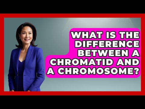What Is The Difference Between A Chromatid And A Chromosome? - Biology For Everyone