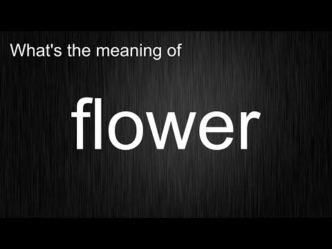 What's the meaning of "flower", How to pronounce flower?
