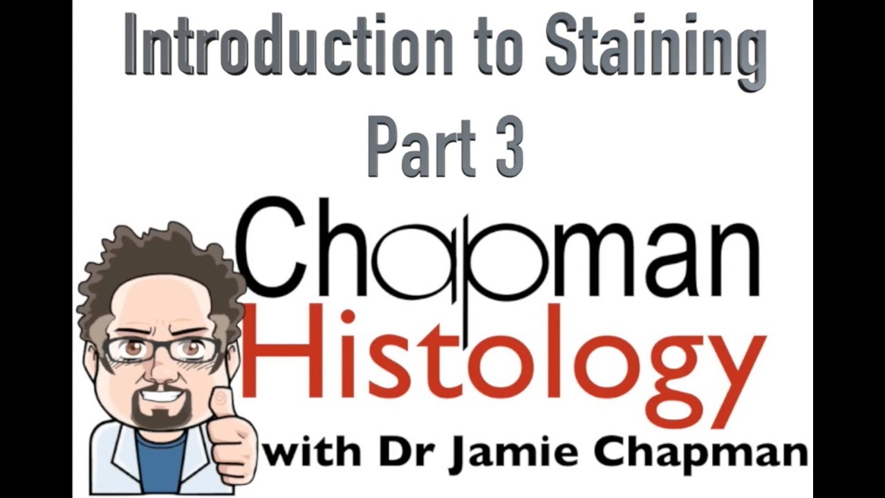 3 Min Histology Intro To Staining 3