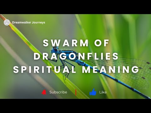 Swarm of Dragonflies Spiritual Meaning | What Does it Mean When a Dragonfly Lands on You