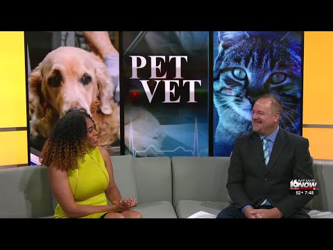 Pet Vet: Veterinary Technicians