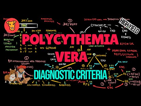 Understanding Polycythemia Vera: Diagnostic criteria, EPO, JAK2 mutation Explained