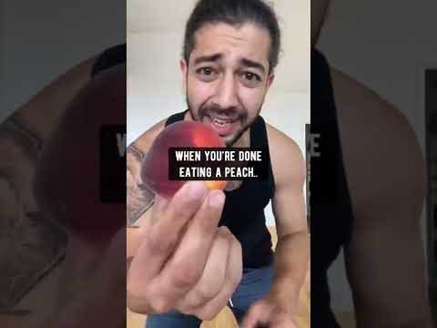 How to Grow a Peaches from a Seed | creative explained