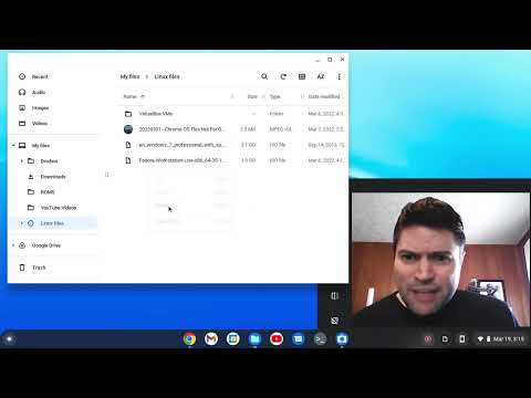 AppImage Support on Chrome OS Flex