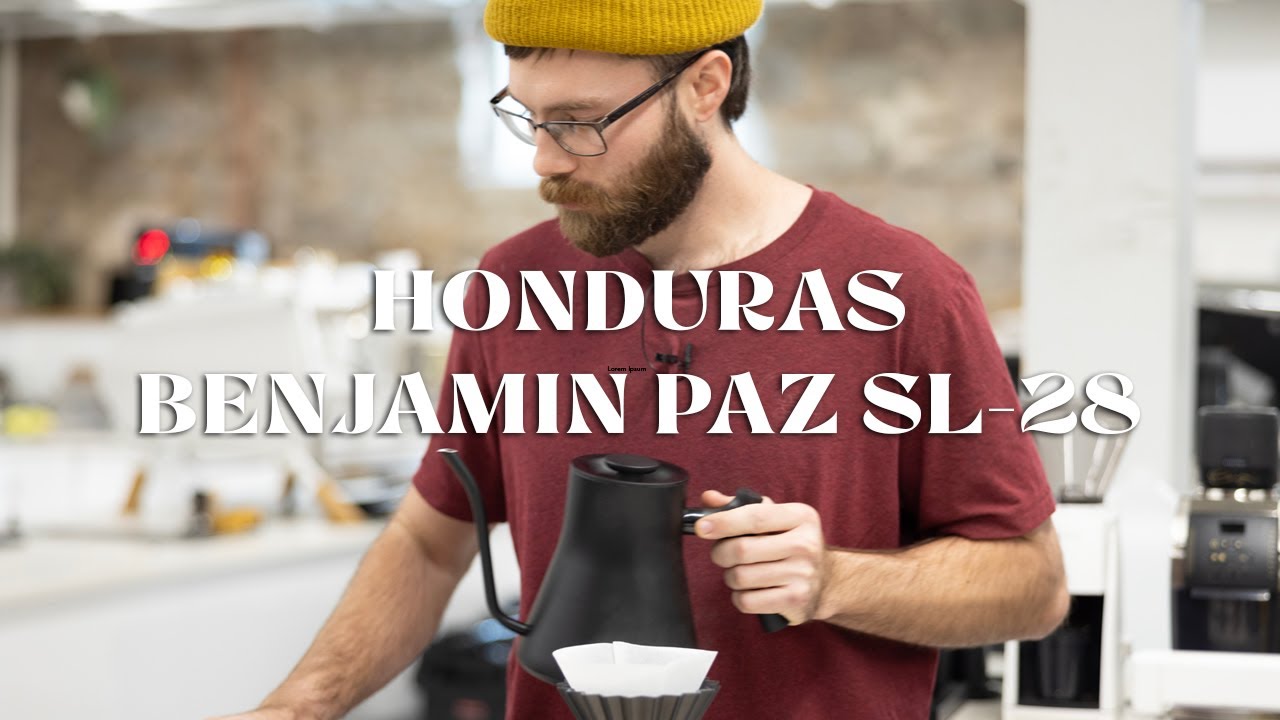 Brew Guide: Honduras Ben Paz SL 28 - Filter